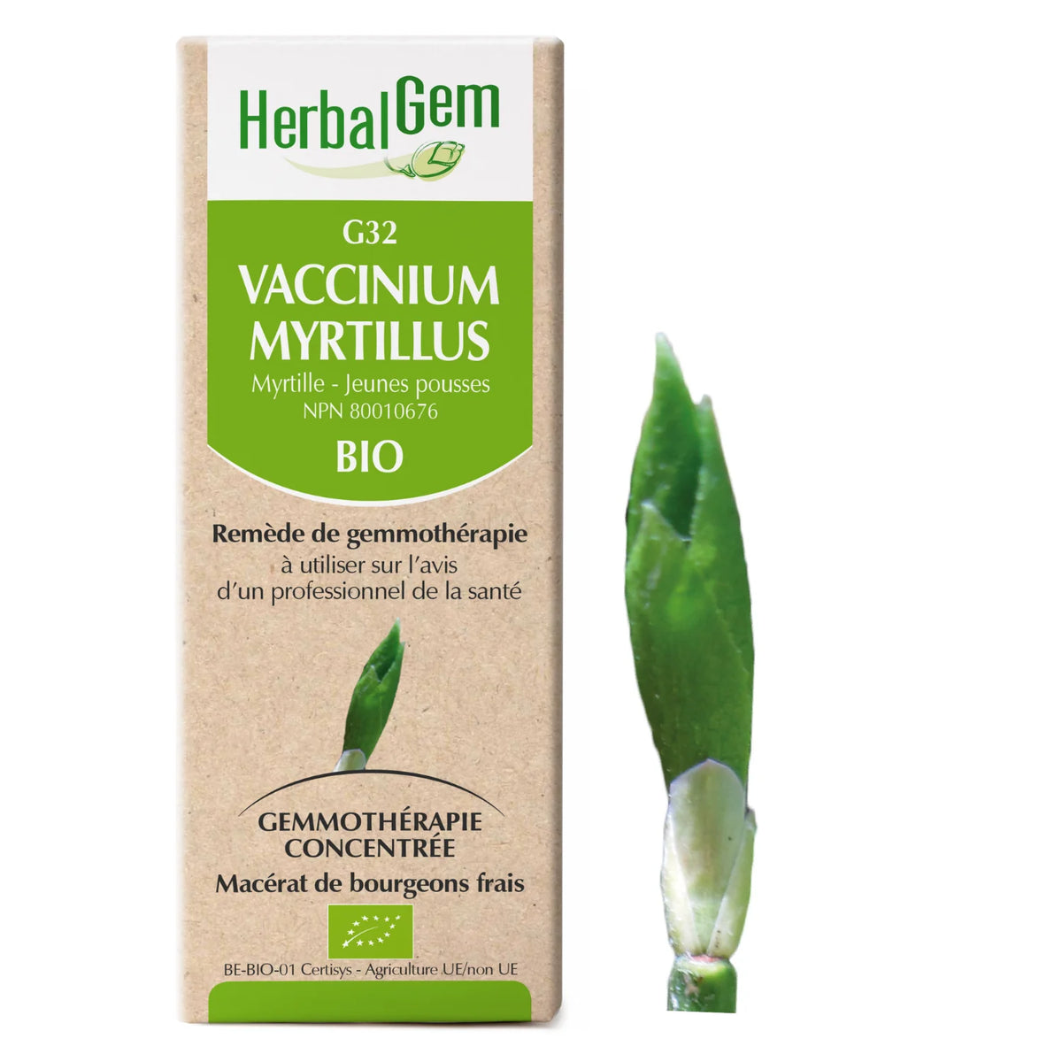 Vaccinum myrtillus - G32 - myrtillier – Unytii - Supplements
